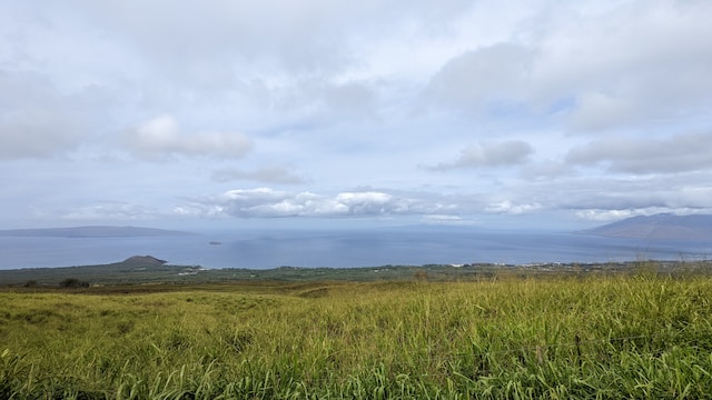 Wineries in Maui